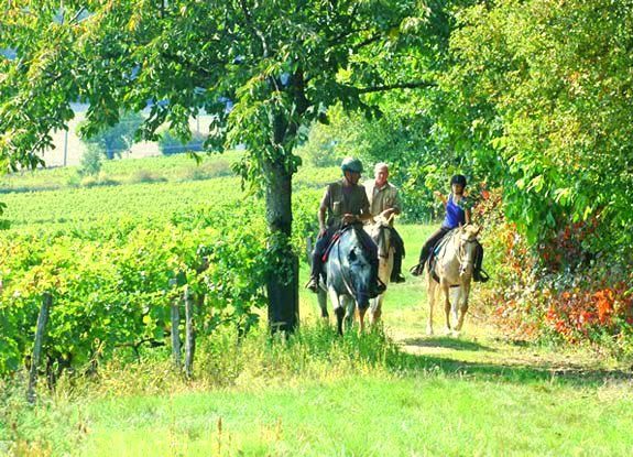 Balade à cheval et week end équestre | Destinations Cheval